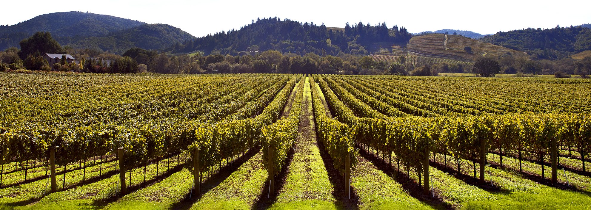 NEW Our Team | Stifel